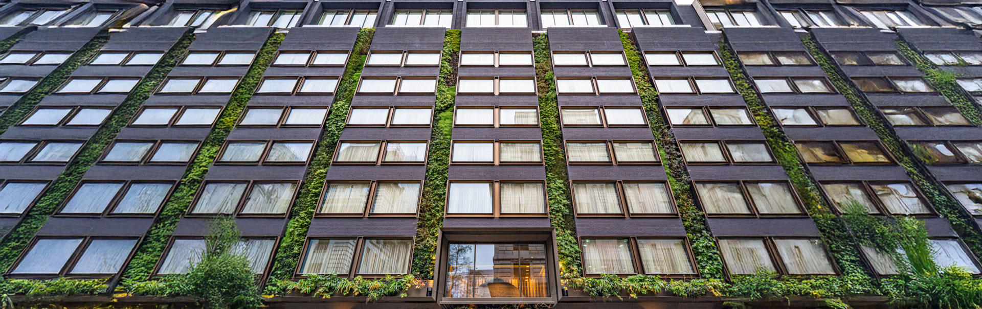 Guide to Green Wall Design and Architecture From the Experts