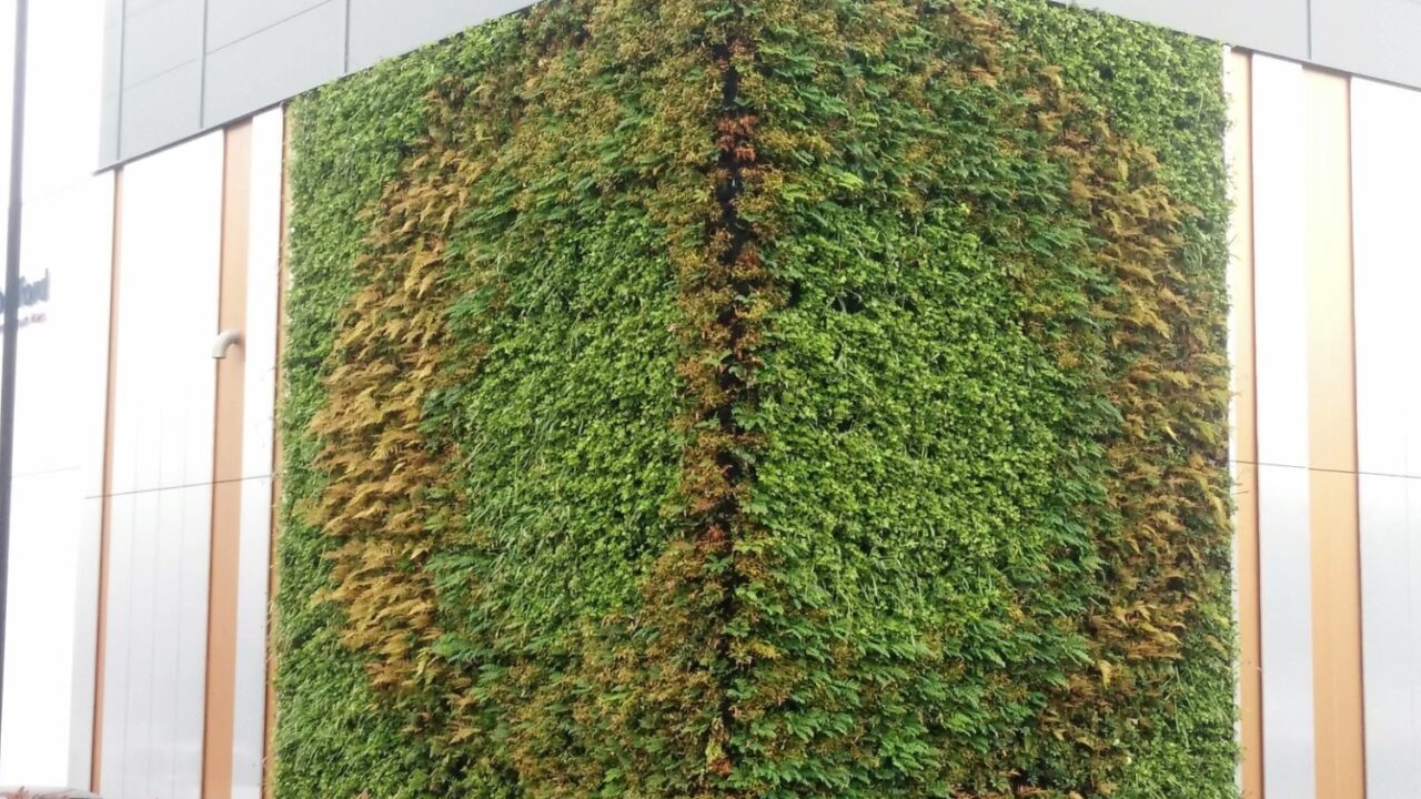 Living Walls and Biophilic Design is this just Greenwashing?