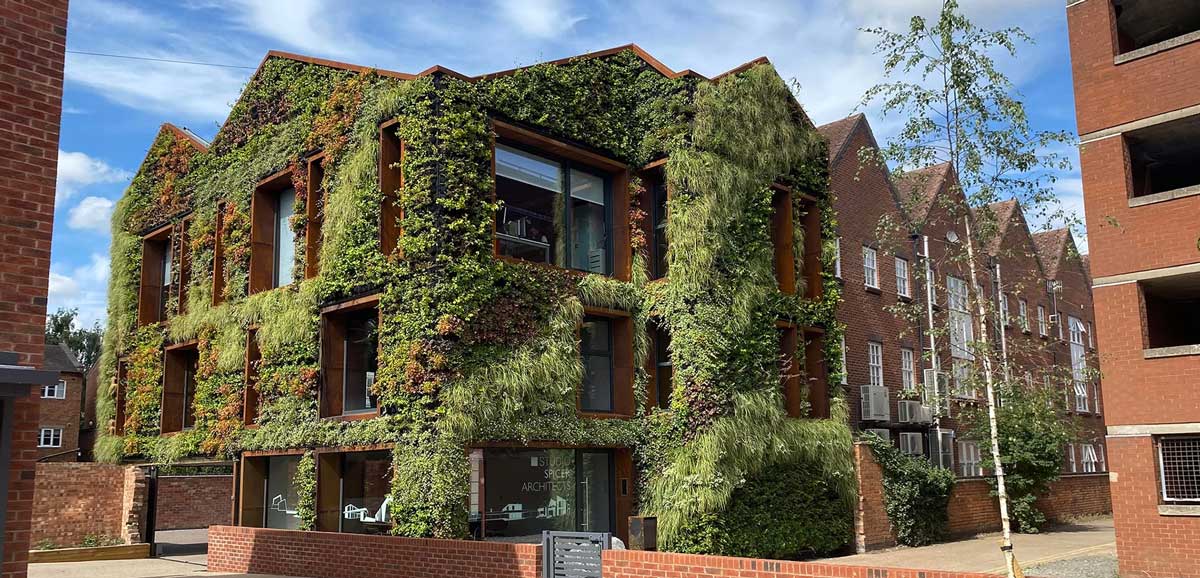 What Are the Benefits of Living Walls in Urban Spaces? | Blog