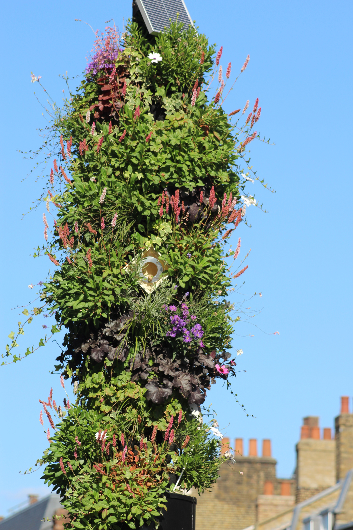 LivingPillar Install Twyford for David Brownlow Foundation