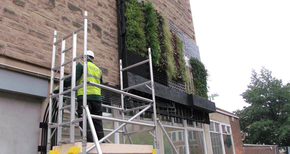 2011 - Sheffield University - Insulation values of Living Walls | Scotscape