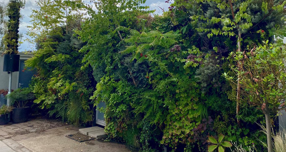 2016 Scotscape R&D department - Living Wall for mature planting. Shrubs ...