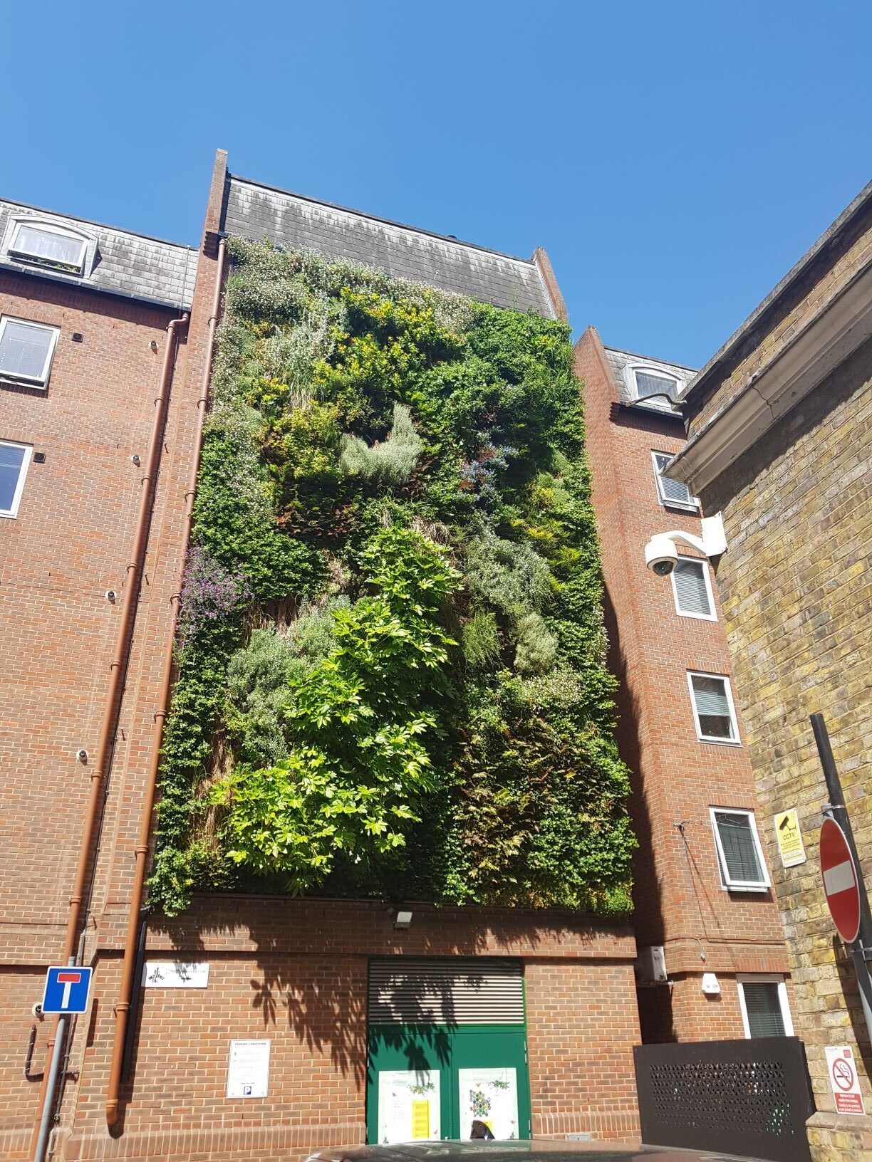 Living Walls | Green Walls | Scotscape